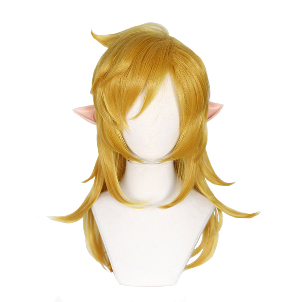 The Legend of Zelda: Tears of the Kingdom Link Wig Cosplay wig yellow ...